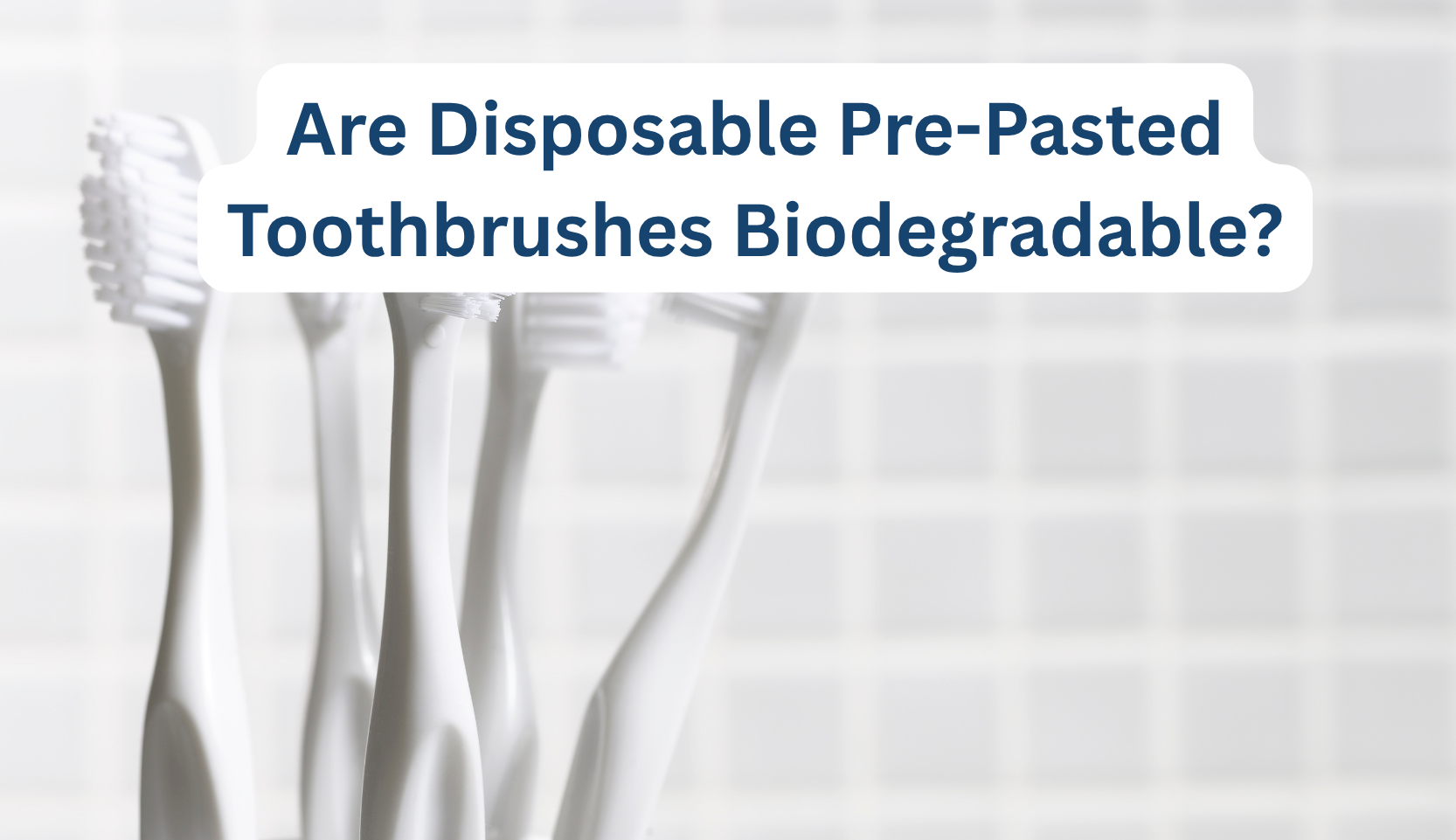 Are Disposable Pre-Pasted Toothbrushes Biodegradable? – B.WEISS Health