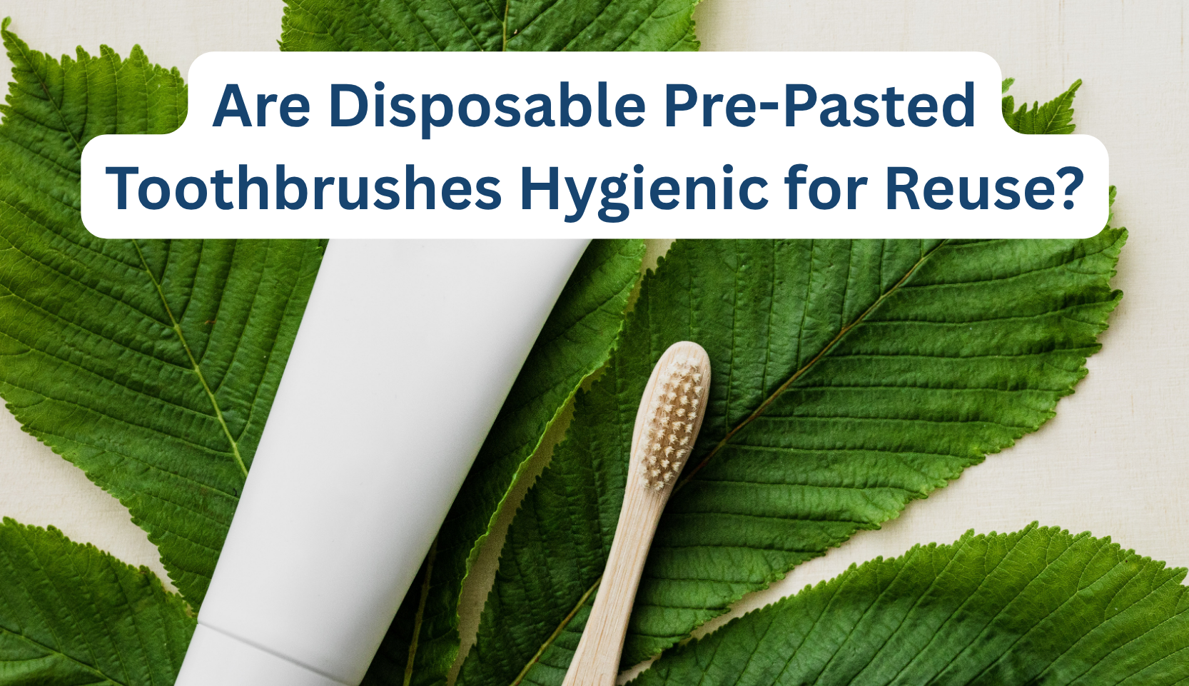 Are Disposable Pre-Pasted Toothbrushes Hygienic for Reuse? – B.WEISS Health